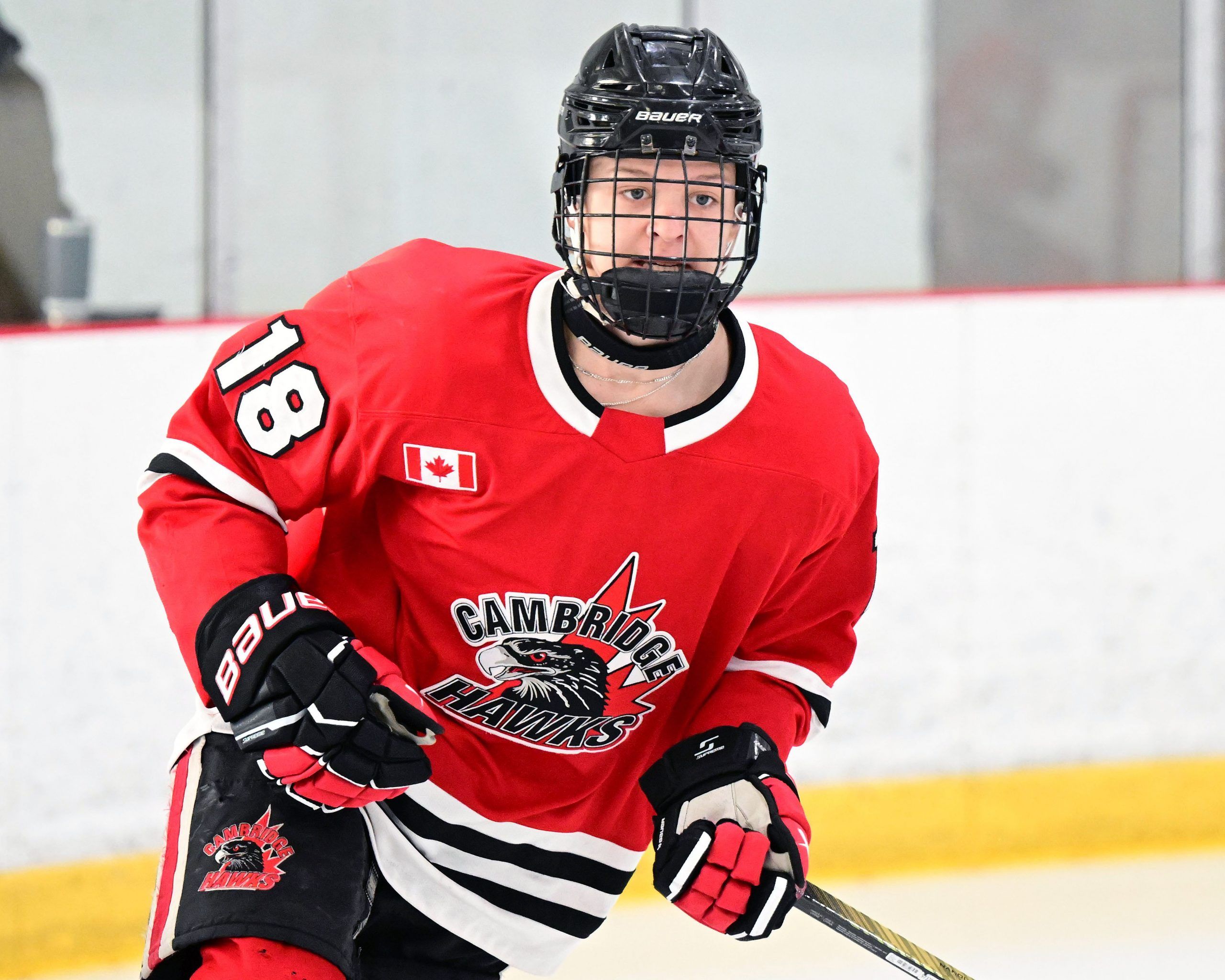 Home | The Daily Press