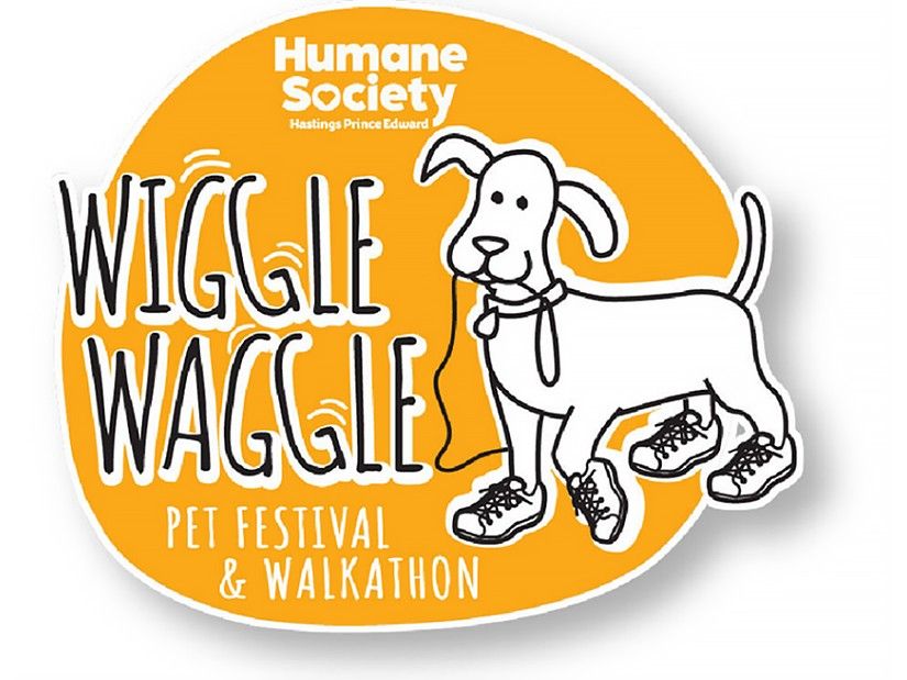 Wiggle Waggle Pet Festival and Walkathon set for June 1st | Belleville ...