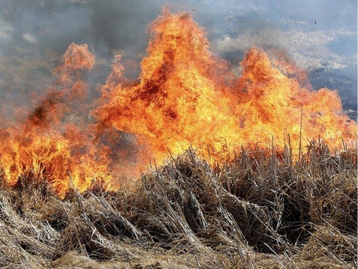 Grass fire near Sherwood Park temporarily shutters Anthony Henday Drive ...