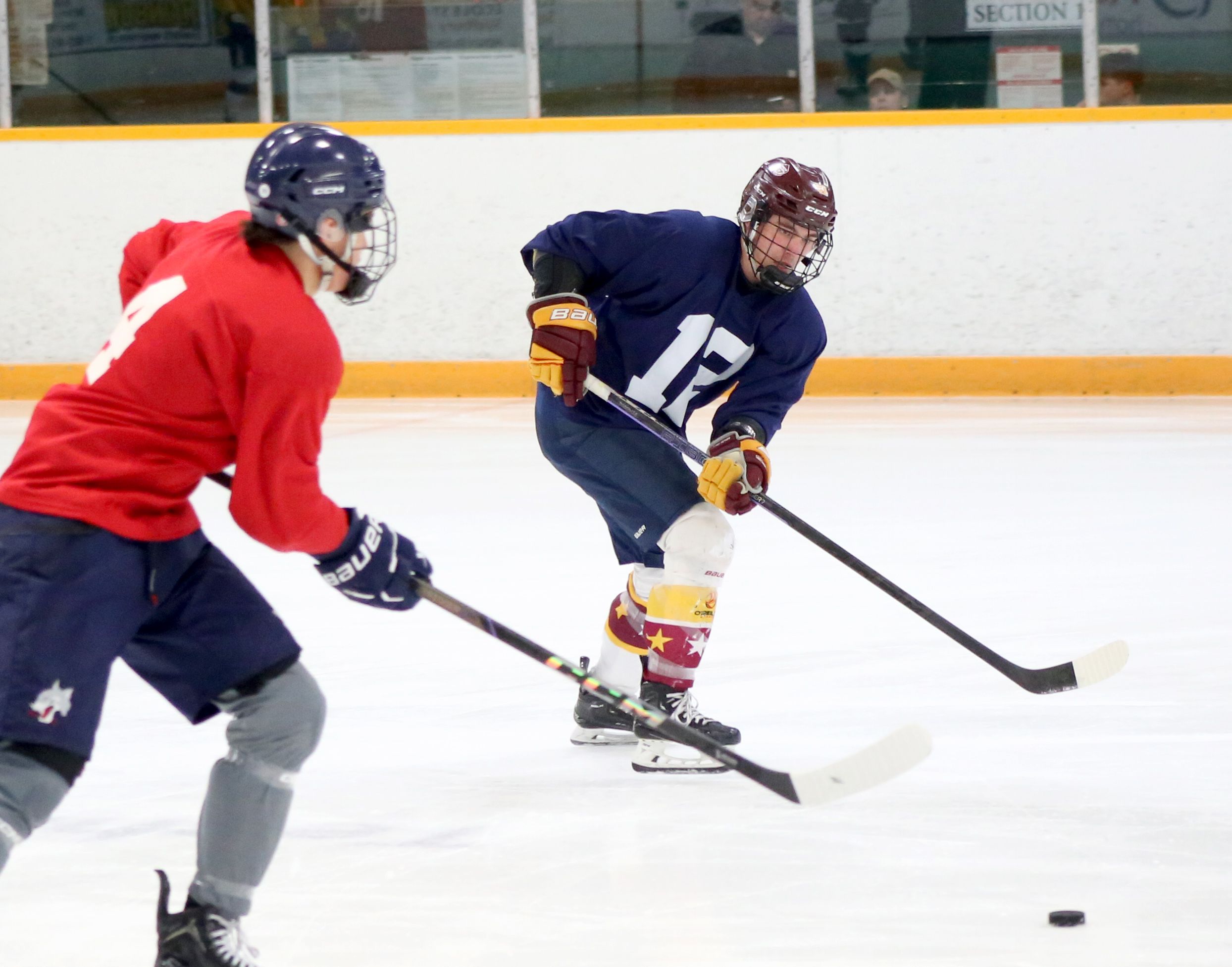 Greater Sudbury Cubs welcome new group of prospects | Sudbury Star
