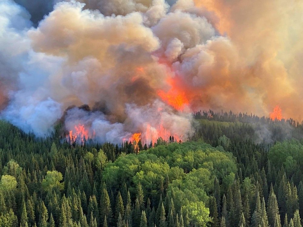 Dry conditions spark forest fires across Northern Ontario | Sault Star