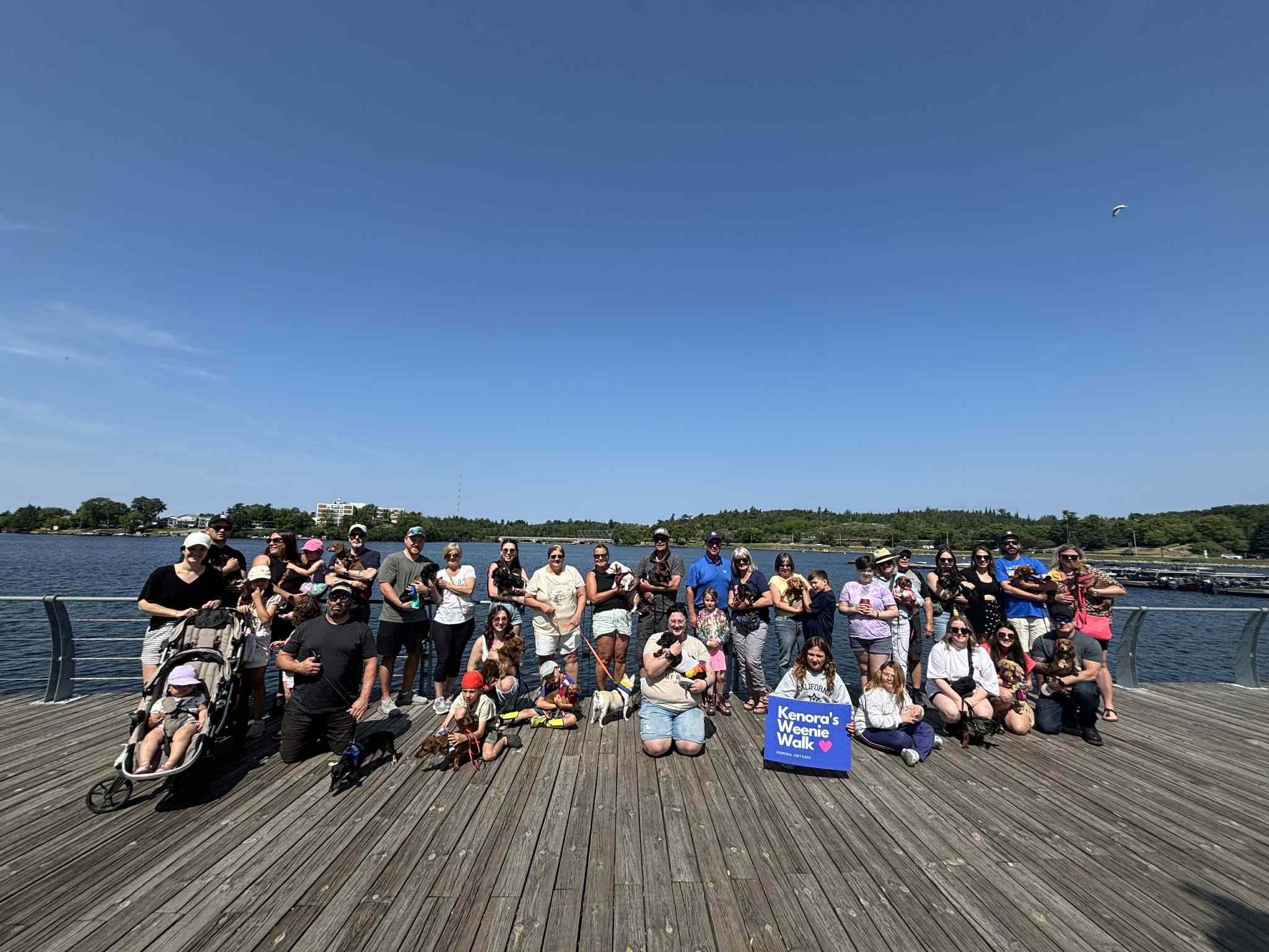 3rd annual Weenie Walk wags, wiggles and wows at the Harbourfront ...