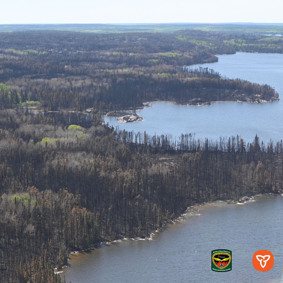 Kenora 20 fire finally under control, regional restricted fire zone ...