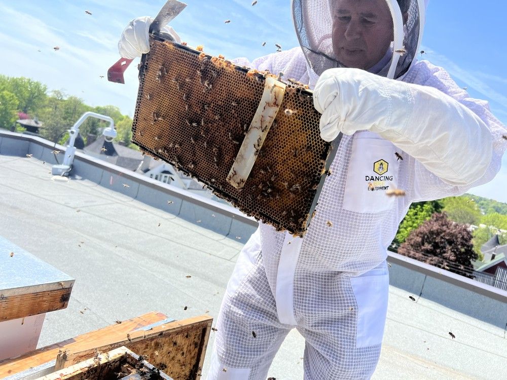Getting a buzz from his hobby, minister brings bees to the legislature ...