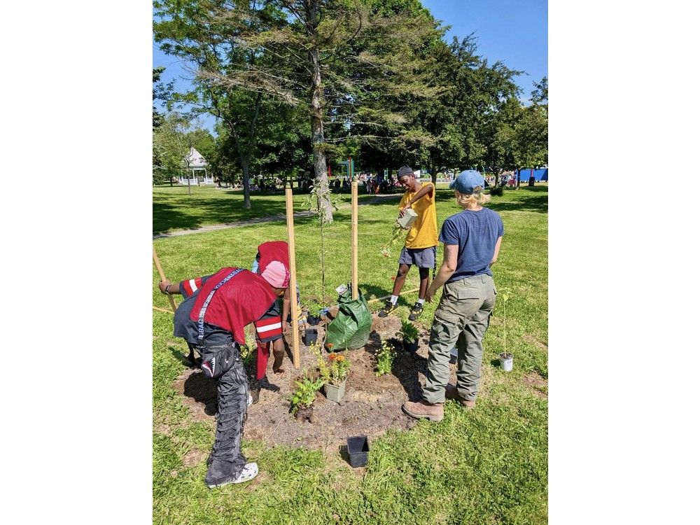 'Fruit forest' to provide food and connect community | Telegraph-Journal