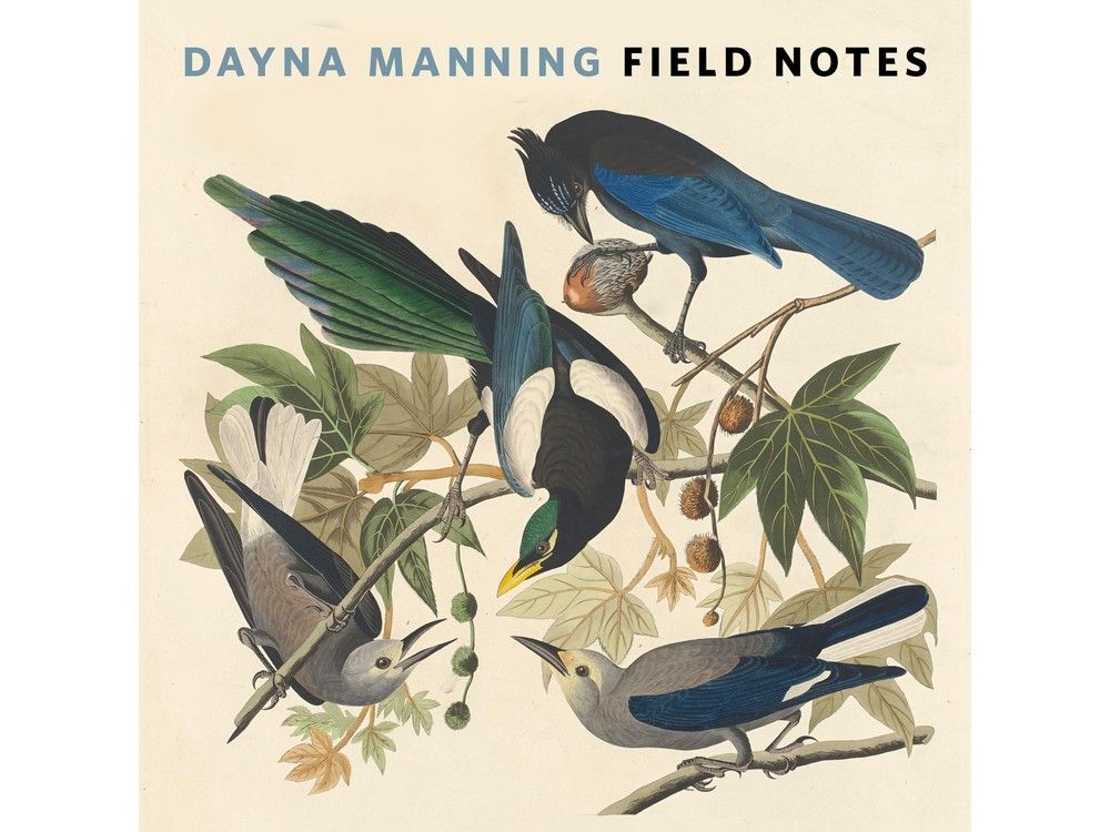 Field Notes a journey through time for Stratford's Dayna Manning | The ...