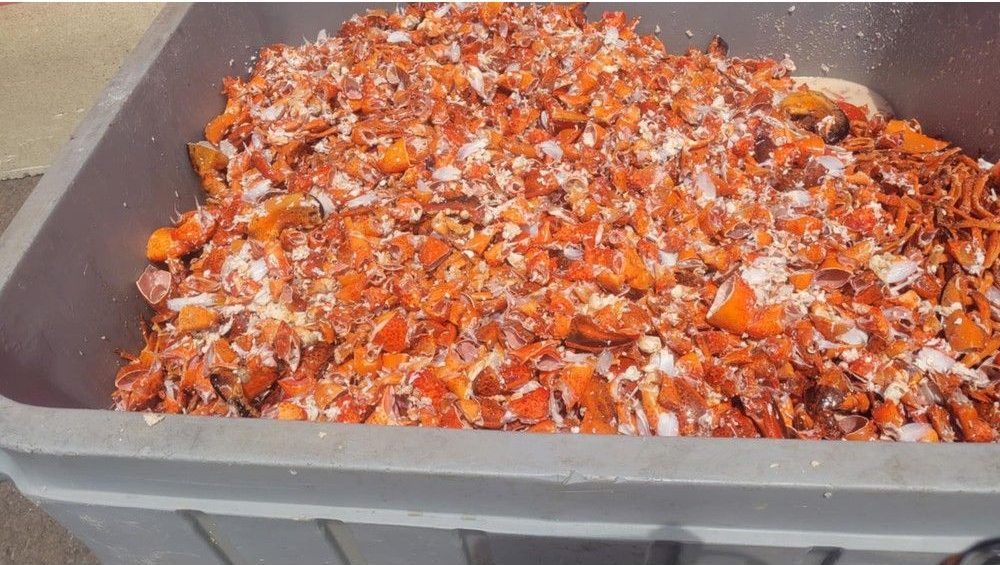 Province suspends shell plant operations due to 'unacceptable odours ...