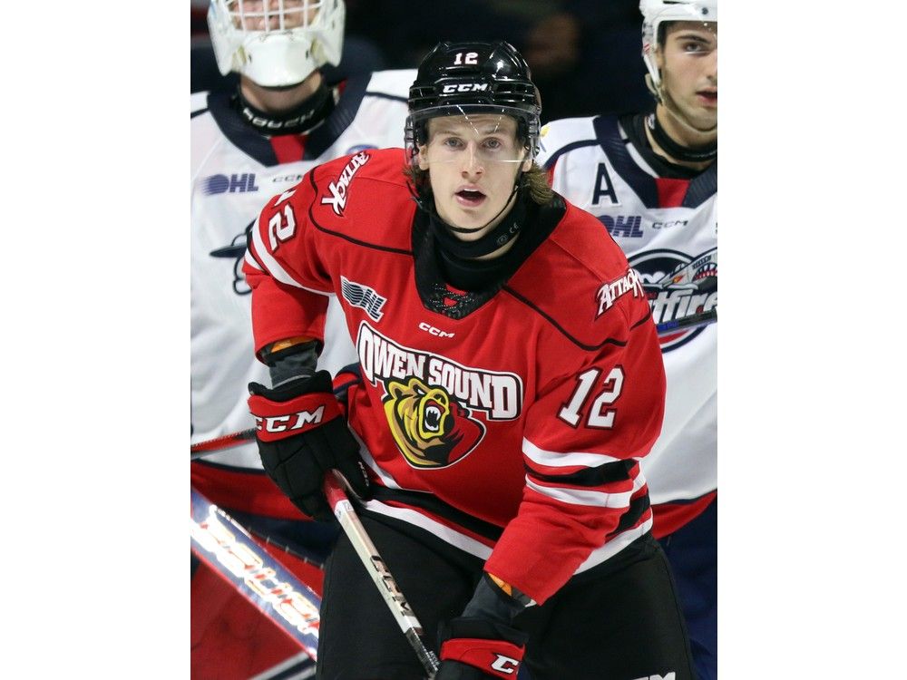 Sam McCue ready to launch Brantford Bulldogs career | Brantford Expositor