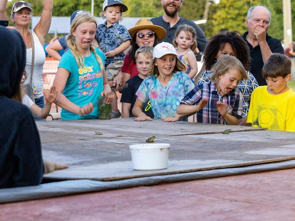 Parham Fair set to open following alleged theft by former treasurer ...