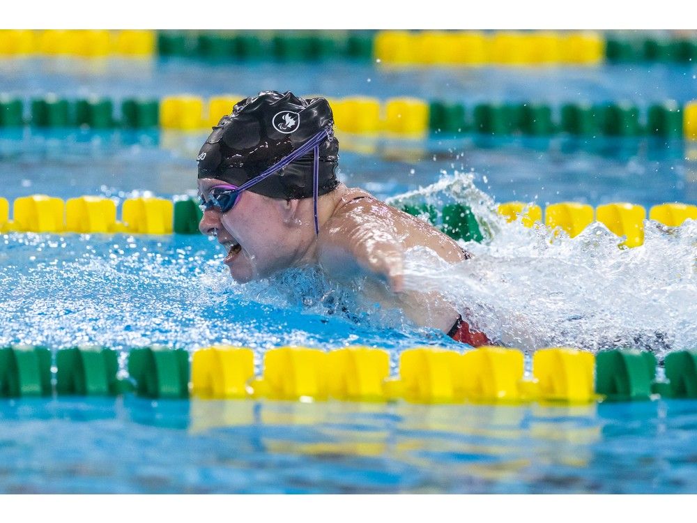 N.B. para swimmer sets 3 world records at national event | Telegraph ...