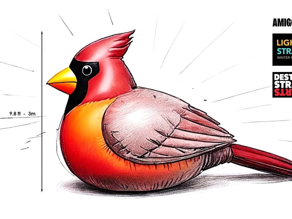 Stratford officially named a 'Bird-Friendly City' | The Stratford ...