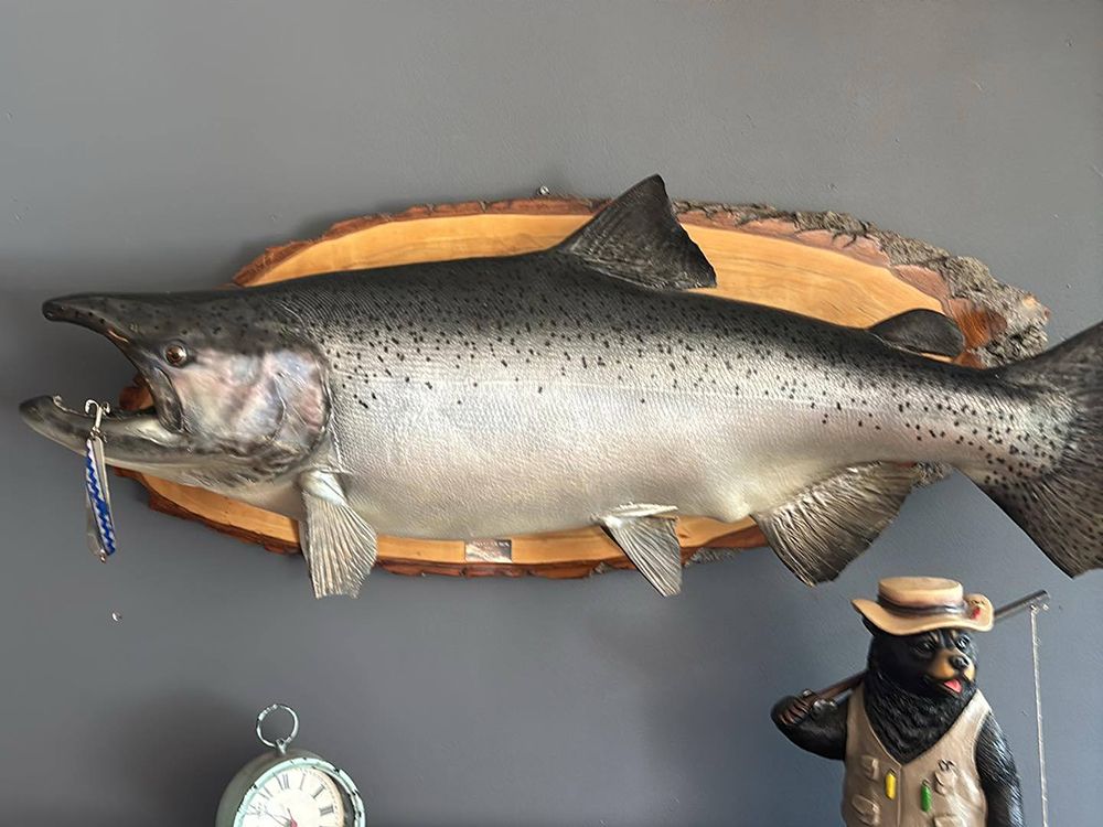 Owen Sound Salmon Spectacular a unique family-focused fishing derby ...