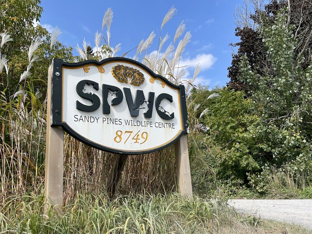 Sandy Pines files defence in accusations of wrongful dismissal | The Kingston Whig Standard