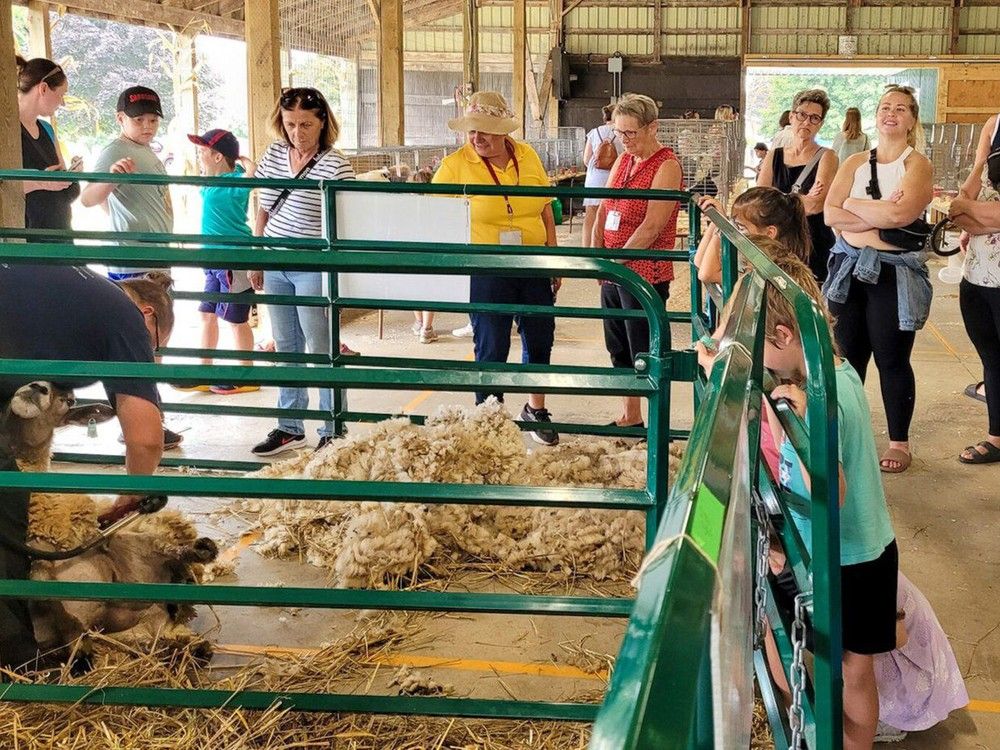 Annual Drumbo Fair to celebrate 175 years | The Woodstock Sentinel Review