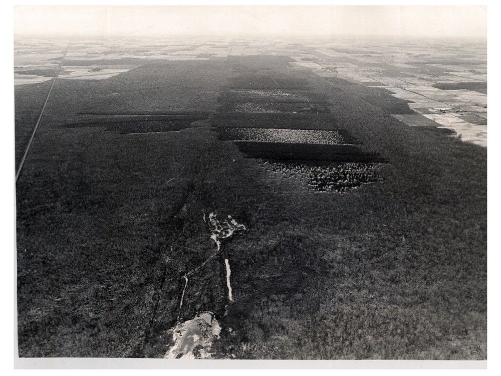 Reflections: The purported witch of Ellice Swamp | The Stratford Beacon ...