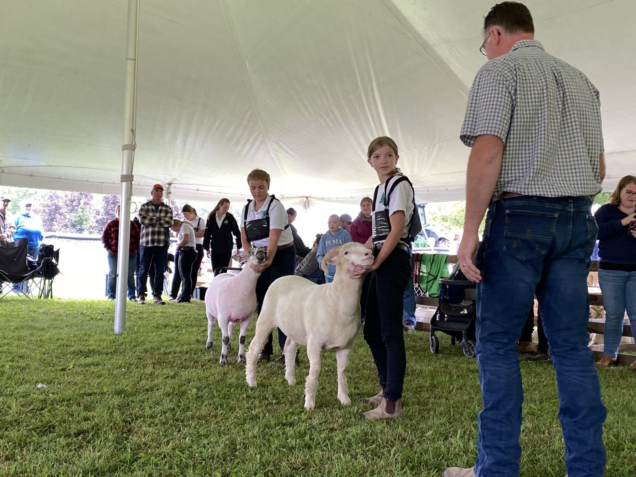 Chatsworth Fall Fair 'keepin' it rural' Saturday in Williamsford | Owen ...