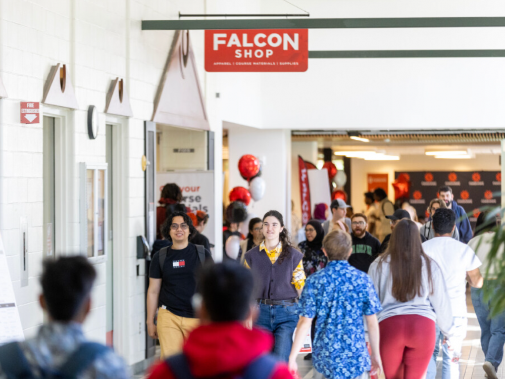 Foreign-student numbers plunge as Fanshawe College faces big changes ...