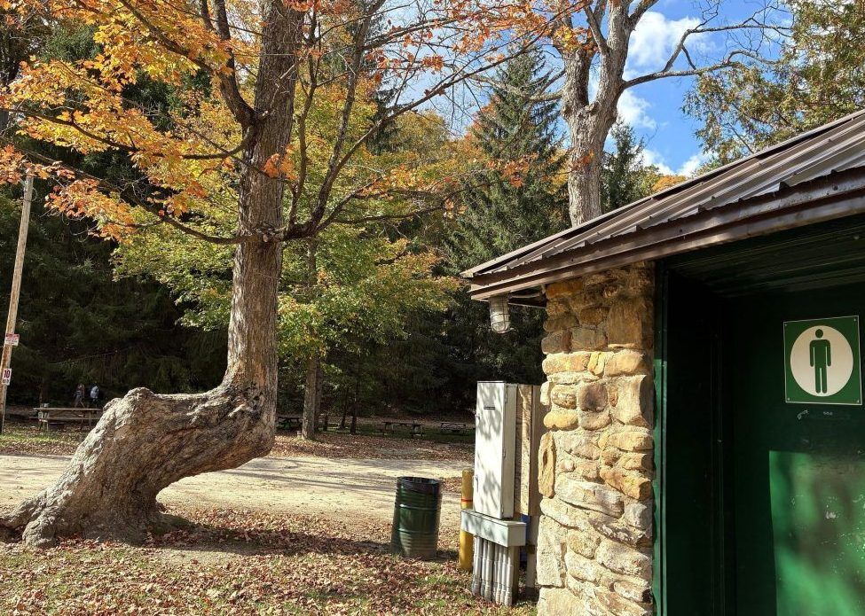 Owen Sound to take steps to protect marker tree in Harrison Park | Owen ...