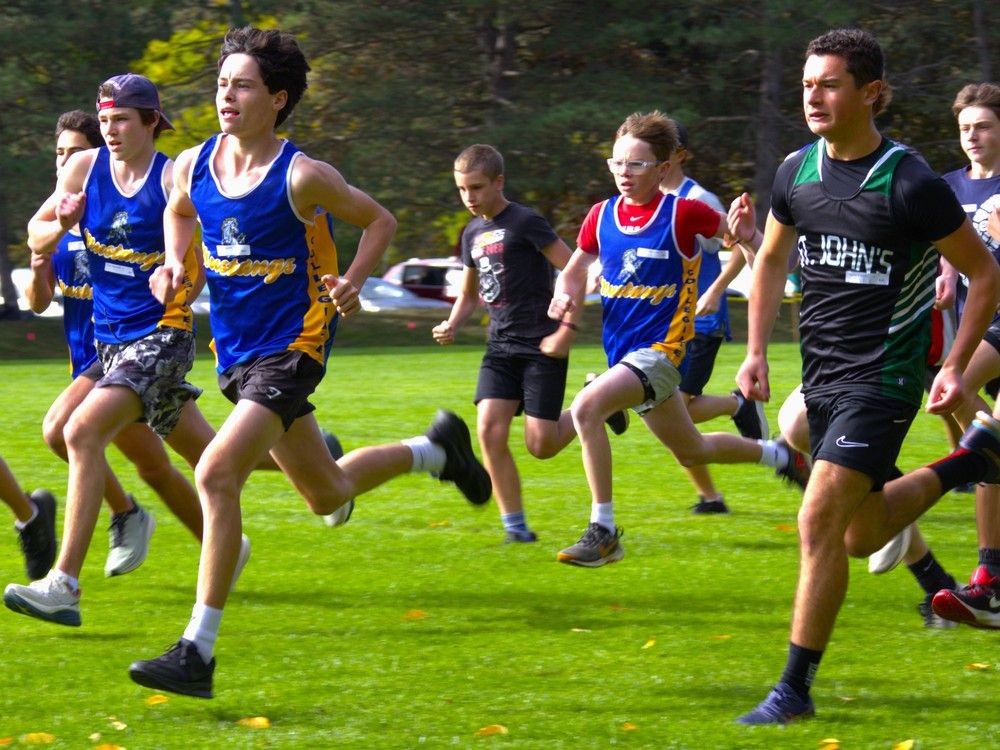 AABHN cross-country champions crowned | Brantford Expositor