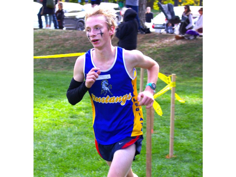 AABHN cross-country champions crowned | Brantford Expositor