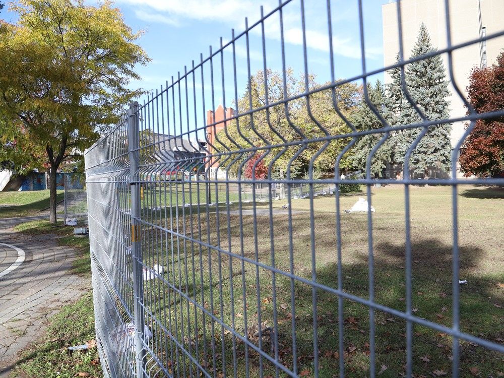 Sudbury briefs: Memorial Park revitalized; CARP meeting; piano recital ...