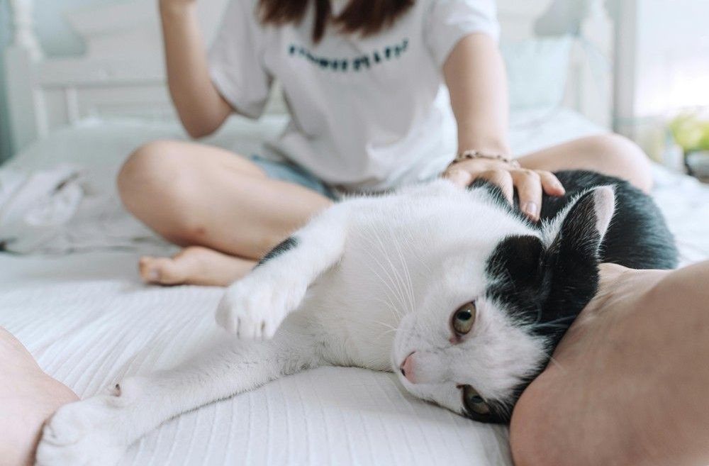 A day in a life | Telegraph-Journal