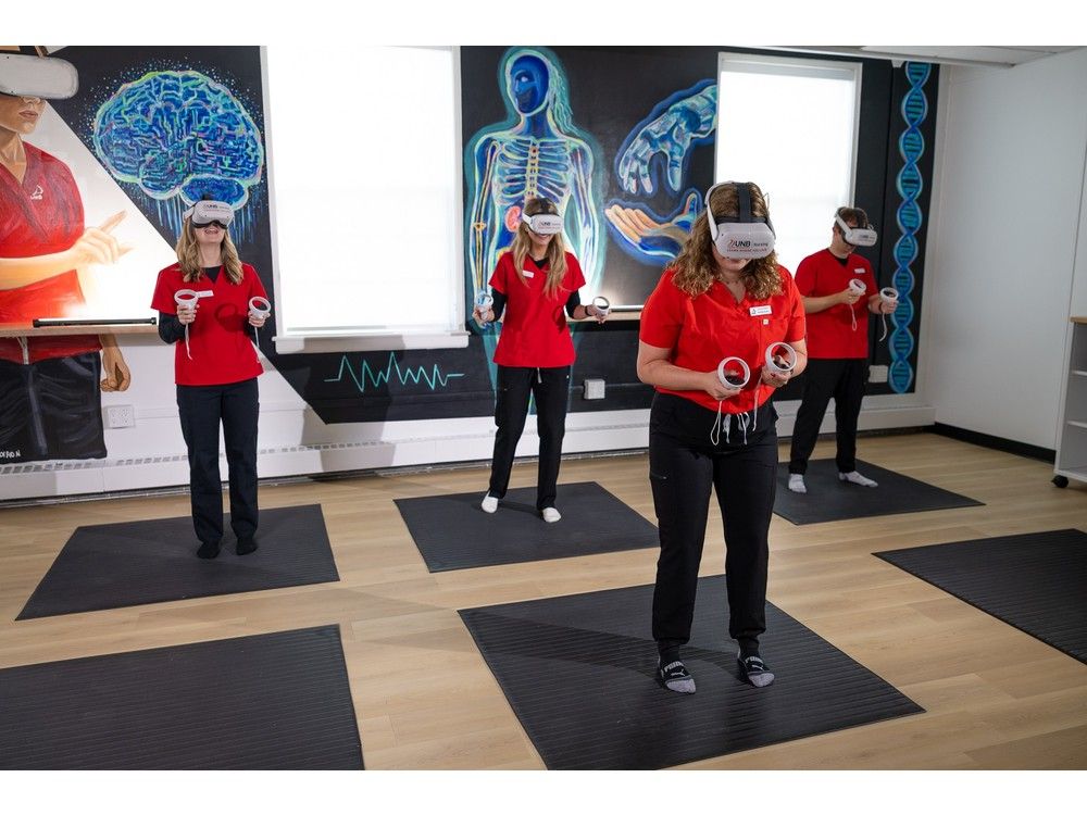 UNB, prof win award for bringing virtual reality to nursing education ...