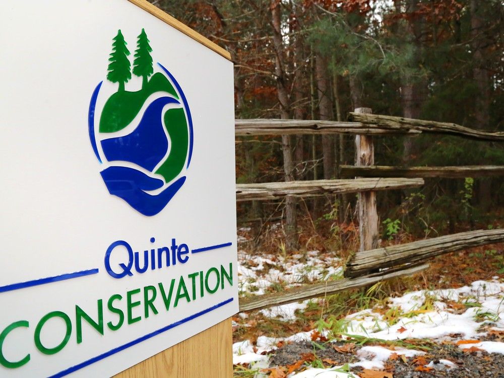 Quinte Conservation: water levels have returned to normal | Belleville ...