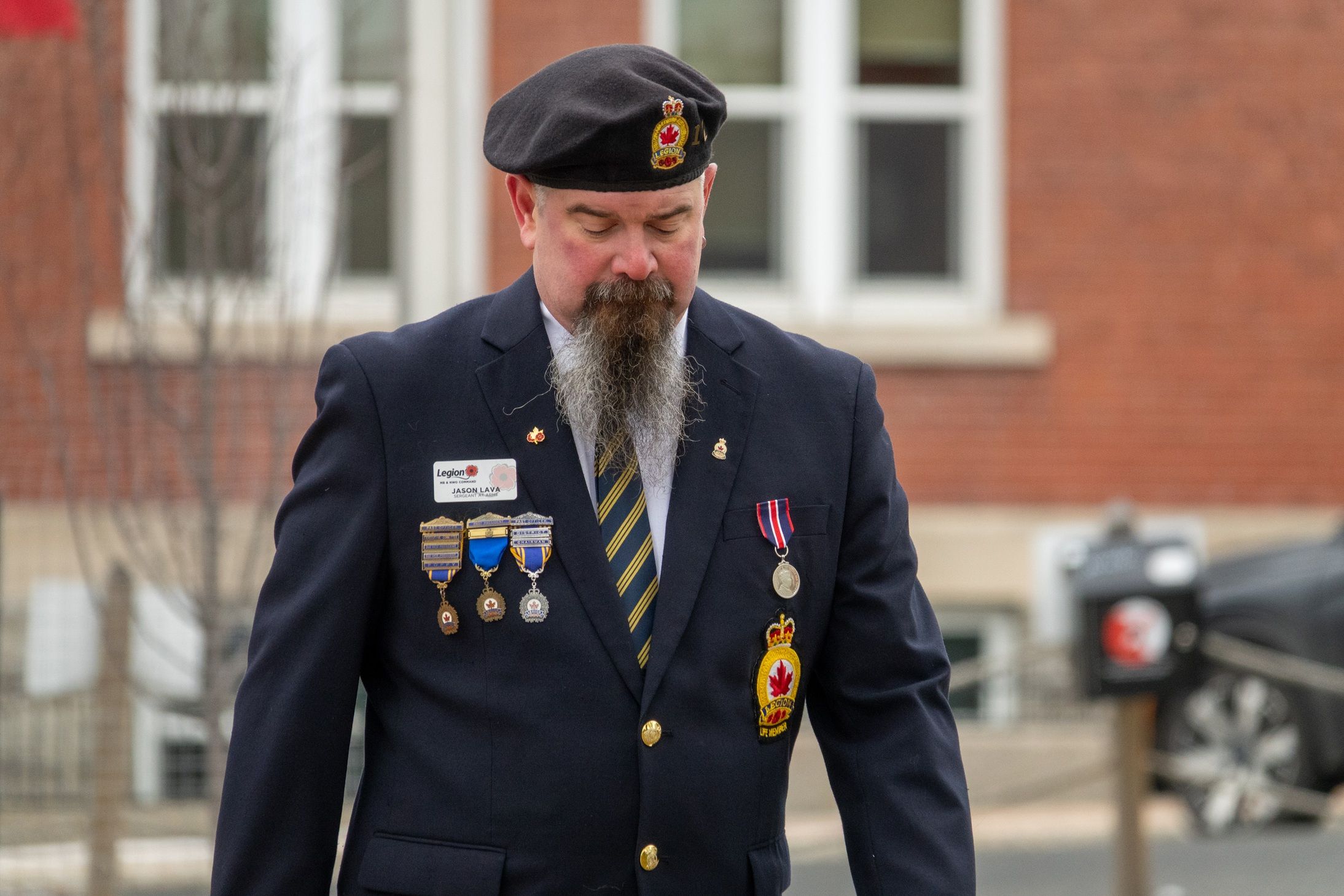 Community support shines through poppy campaign and Remembrance Day ...