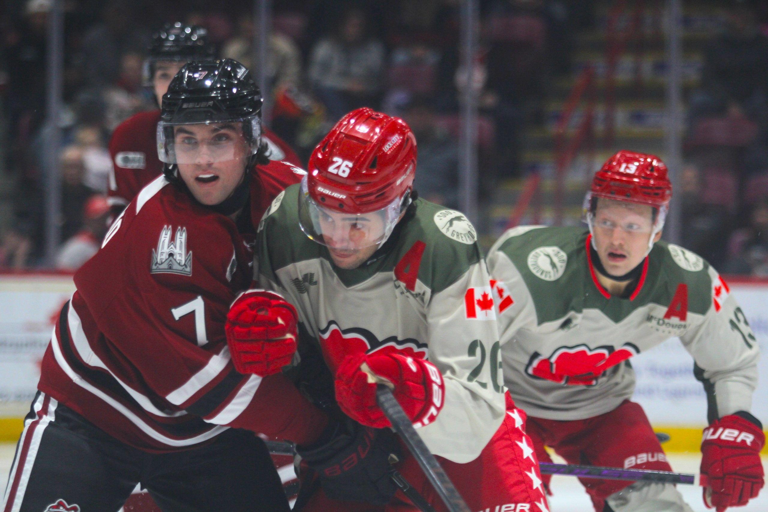 Soo Greyhounds fall to Guelph Storm, 4-2: OHL live blog recap | Sault Star