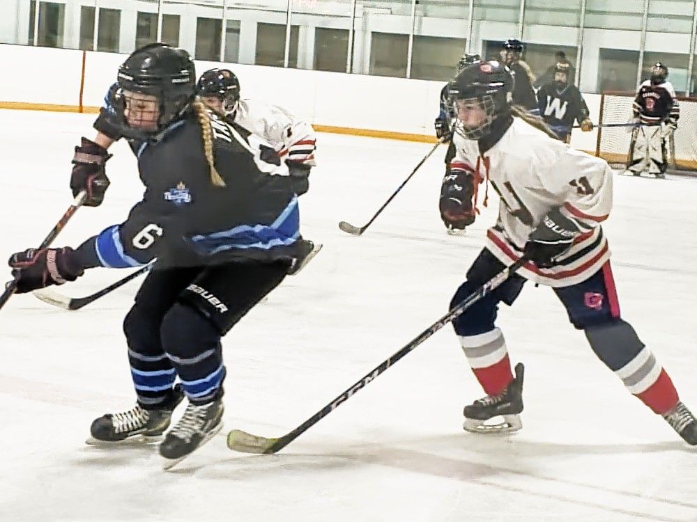 Panthers have promising start at SDG girls' hockey tournament ...