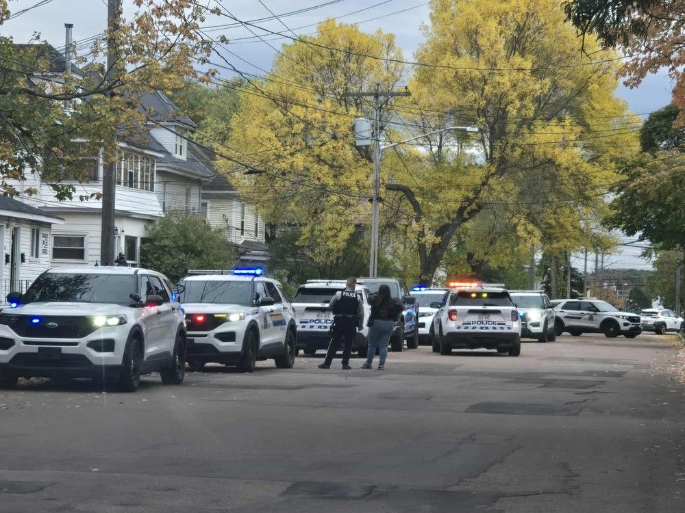 Fingerprints on painted stolen shotgun lead RCMP to offender ...