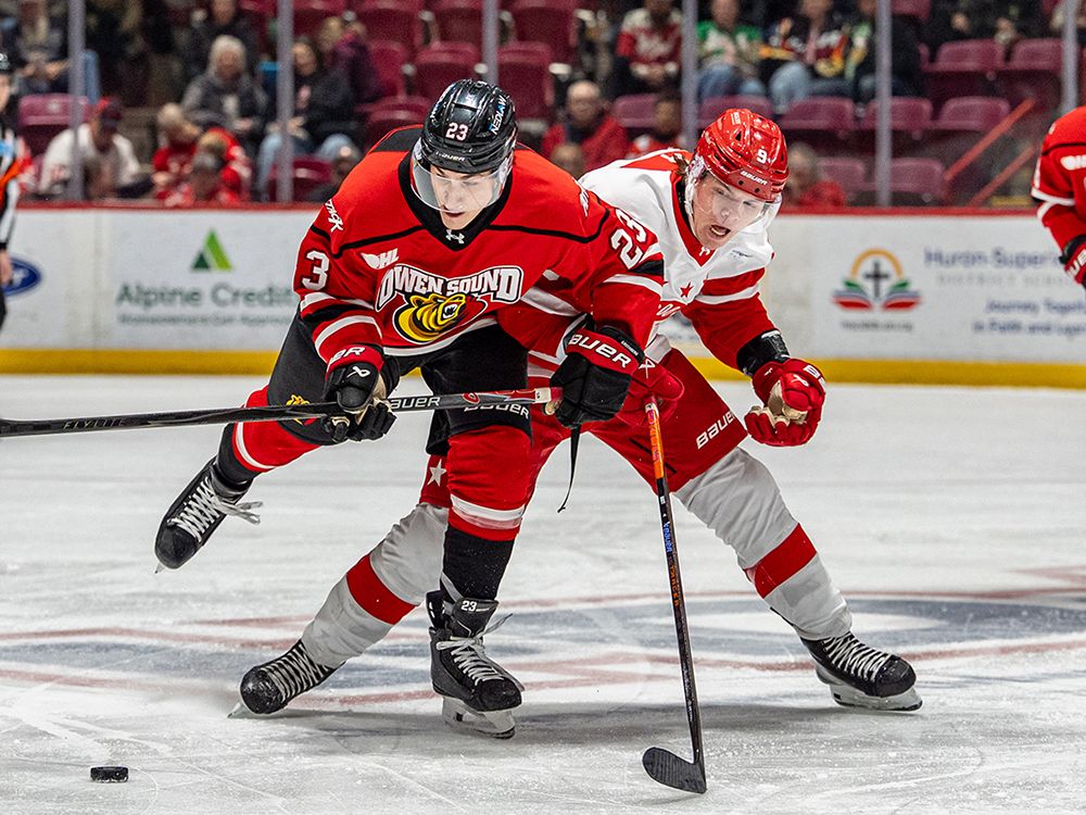 Owen Sound Attack return home after winless road trip | Owen Sound Sun Times