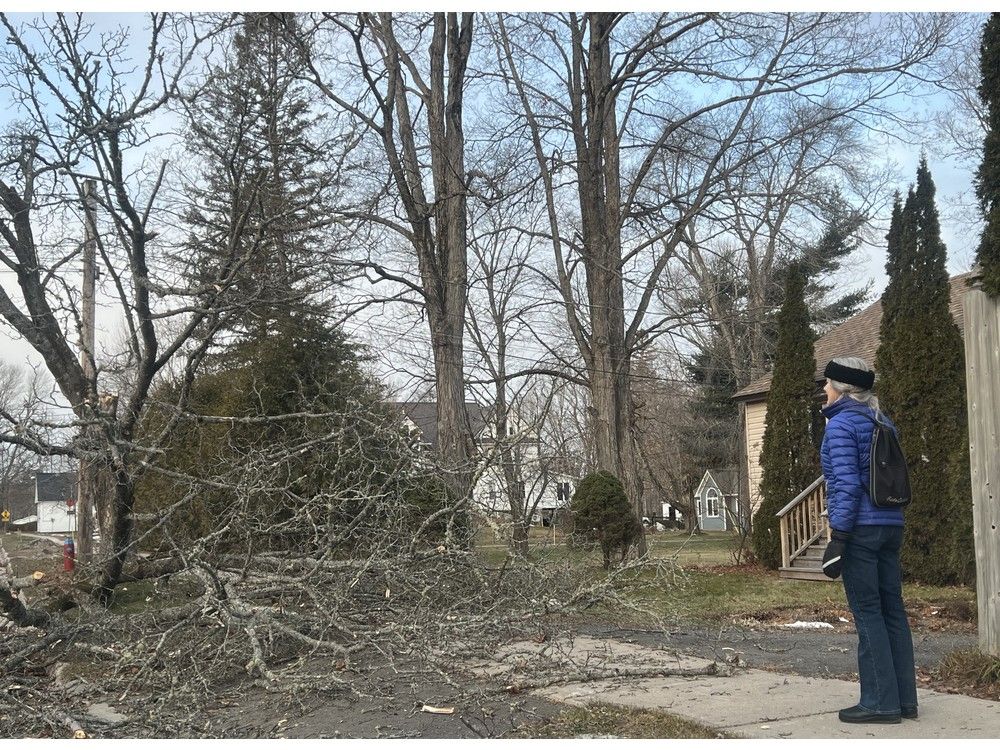 Over 54,000 households, businesses without power as temperatures plunge ...