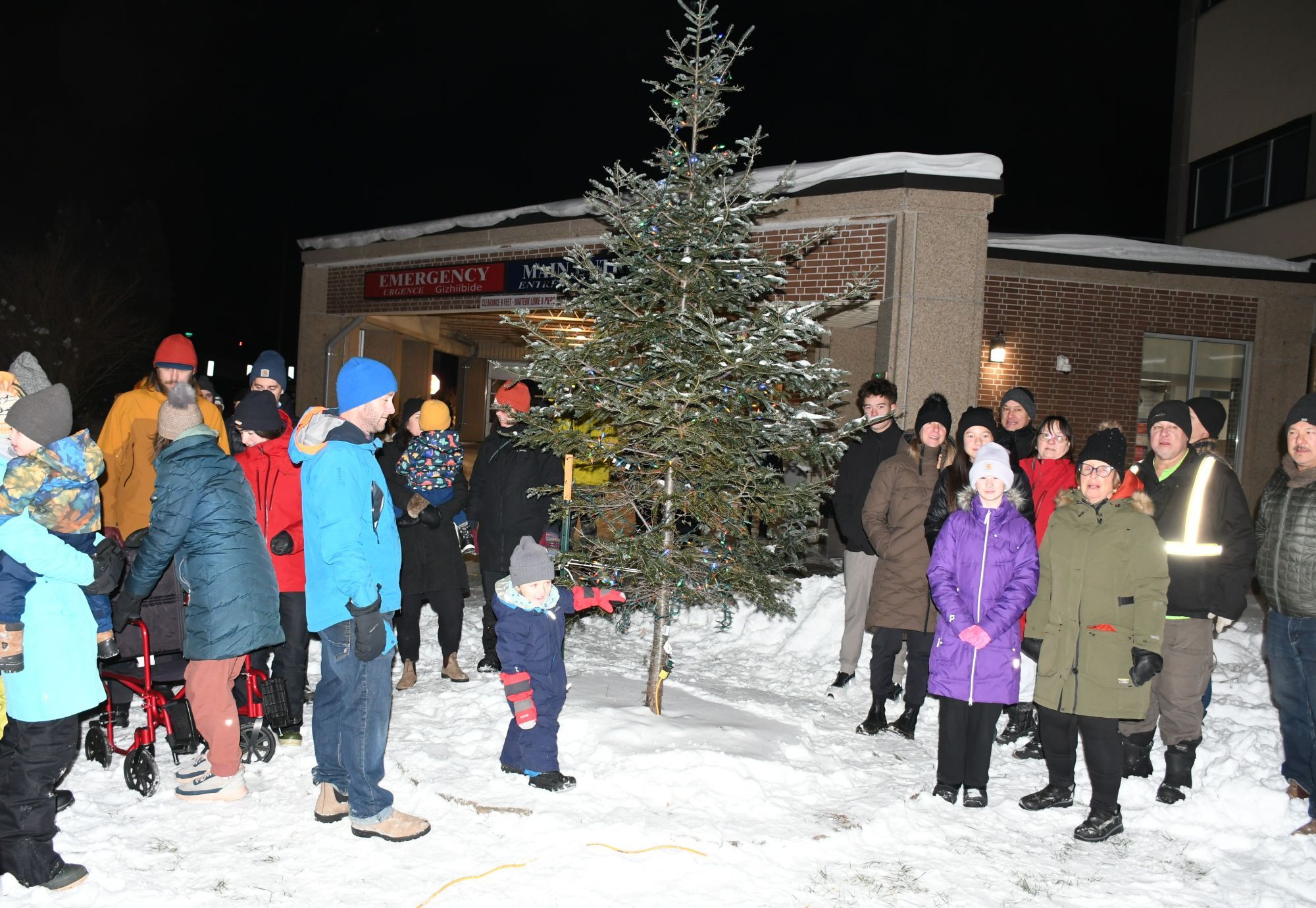 Tree of Lights brighten the future of patients | Elliot Lake Standard