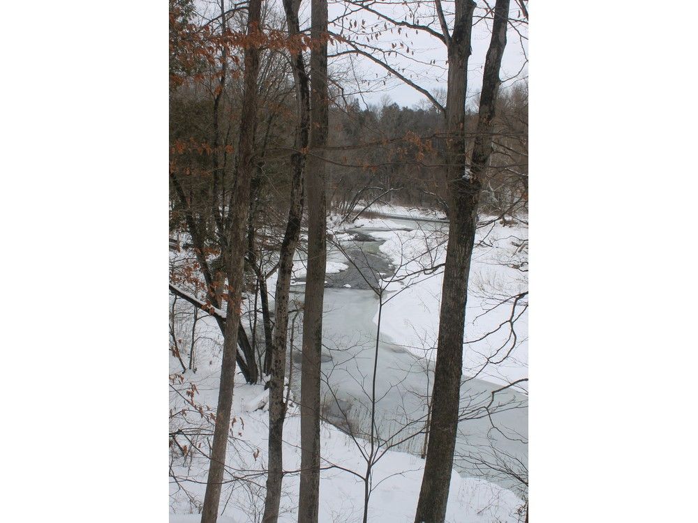 Trail Talk: From cold and snow to mild and thawing | Goderich Signal Star