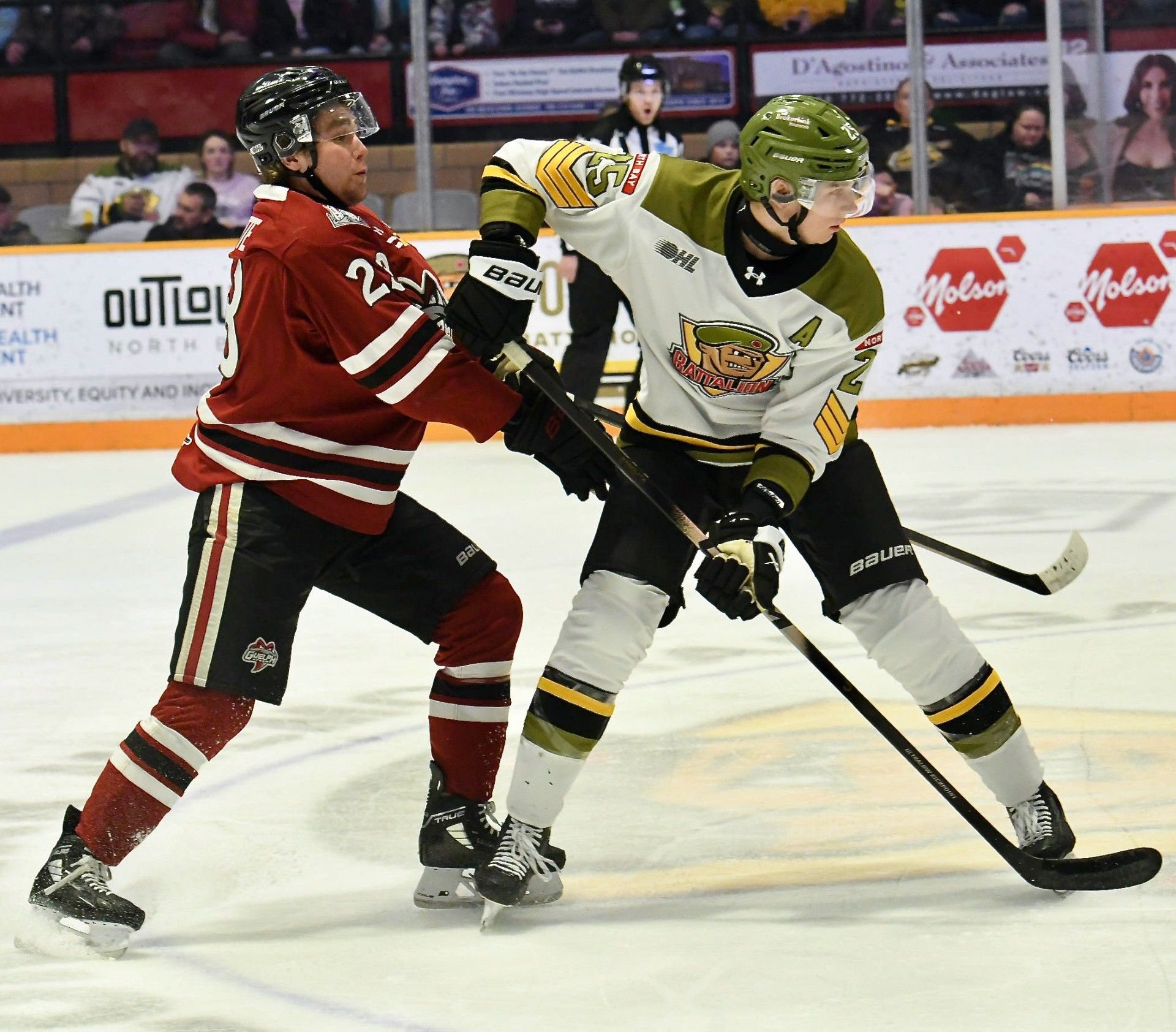 North Bay Battalion bear down with a big home win over Guelph | North Bay Nugget