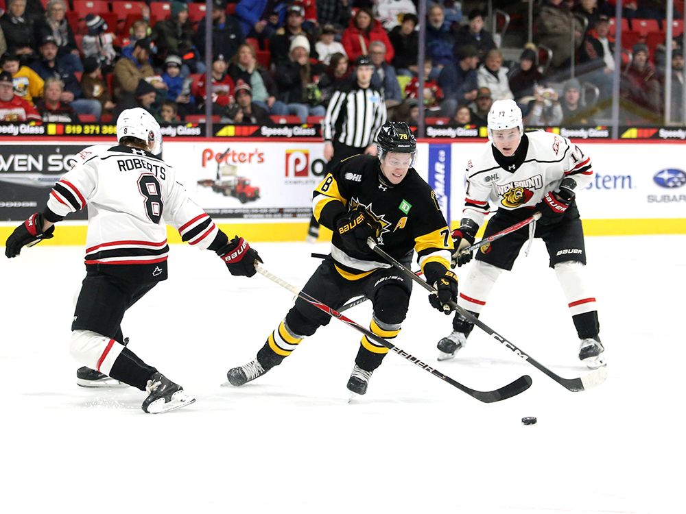 Brantford Bulldogs hand Owen Sound Attack seventh-straight loss | Owen ...