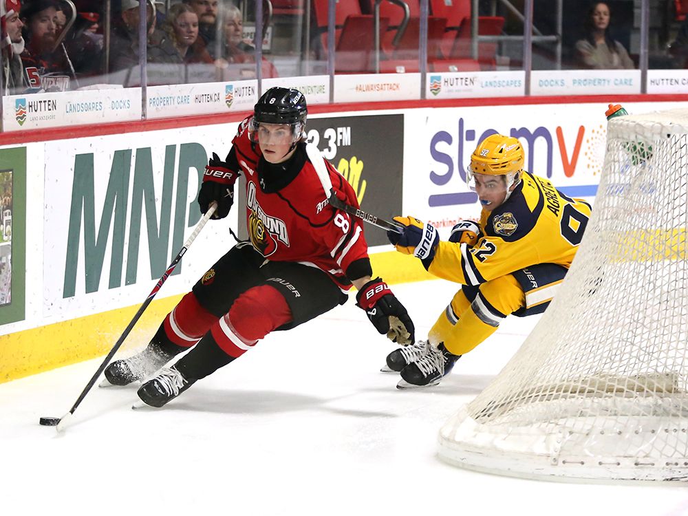 Bad blood? Just hockey, according to Wesley Royston and Michael Dec ...