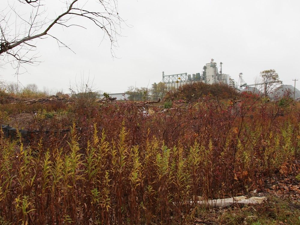 Sarnia, Point Edward at odds with Cargill over land use proposals | The ...