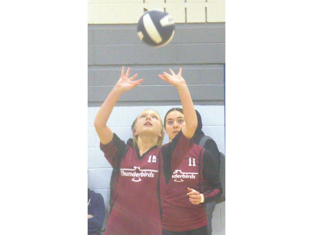 PJC Thunderbirds hope to keep improving in senior girls volleyball ...