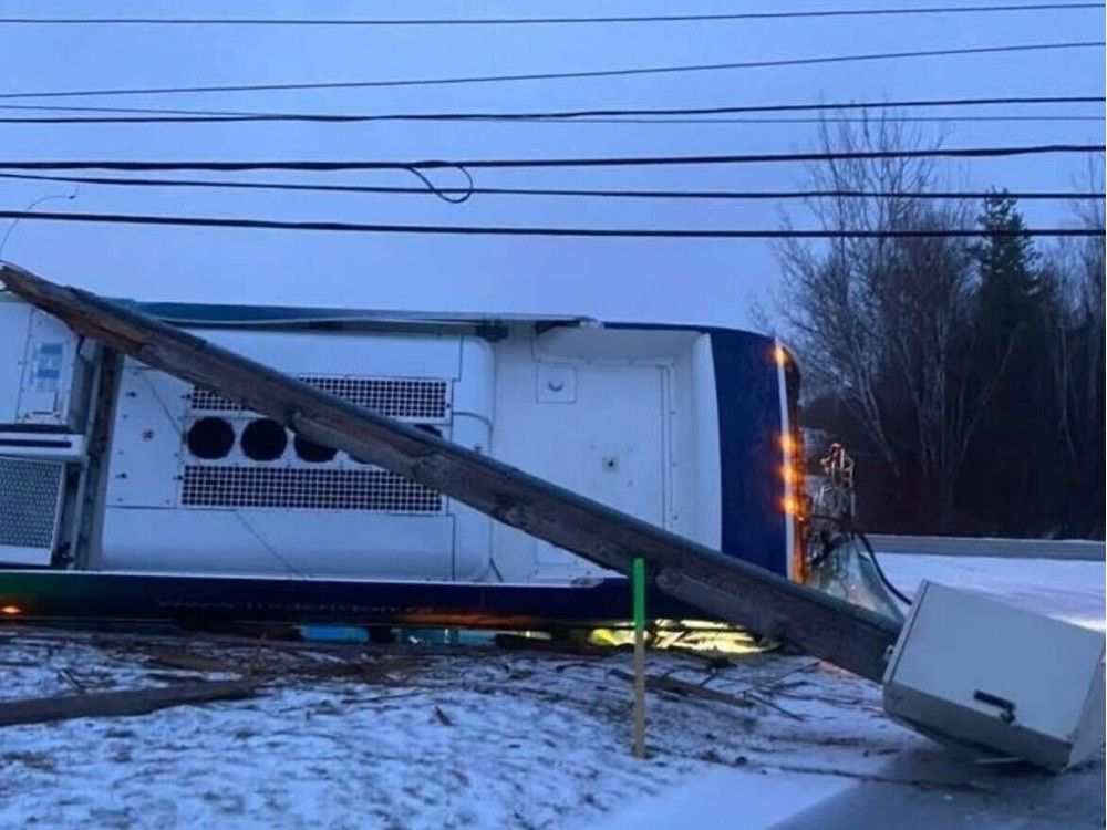 City internally reviewing bus crash that left 7 injured | Telegraph-Journal