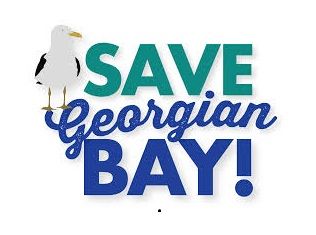 Save Georgian Bay holding virtual polar bear dip | Owen Sound Sun Times