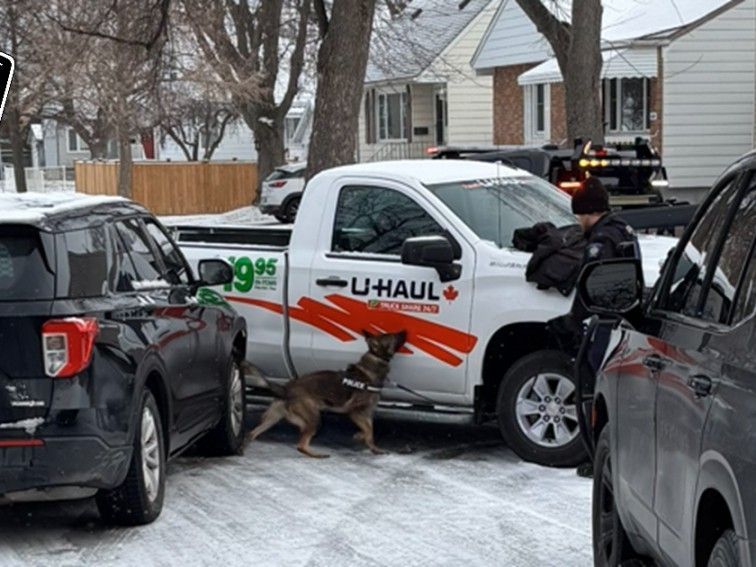 Two charged after ankle monitor tampering, flight from police, Sarnia ...