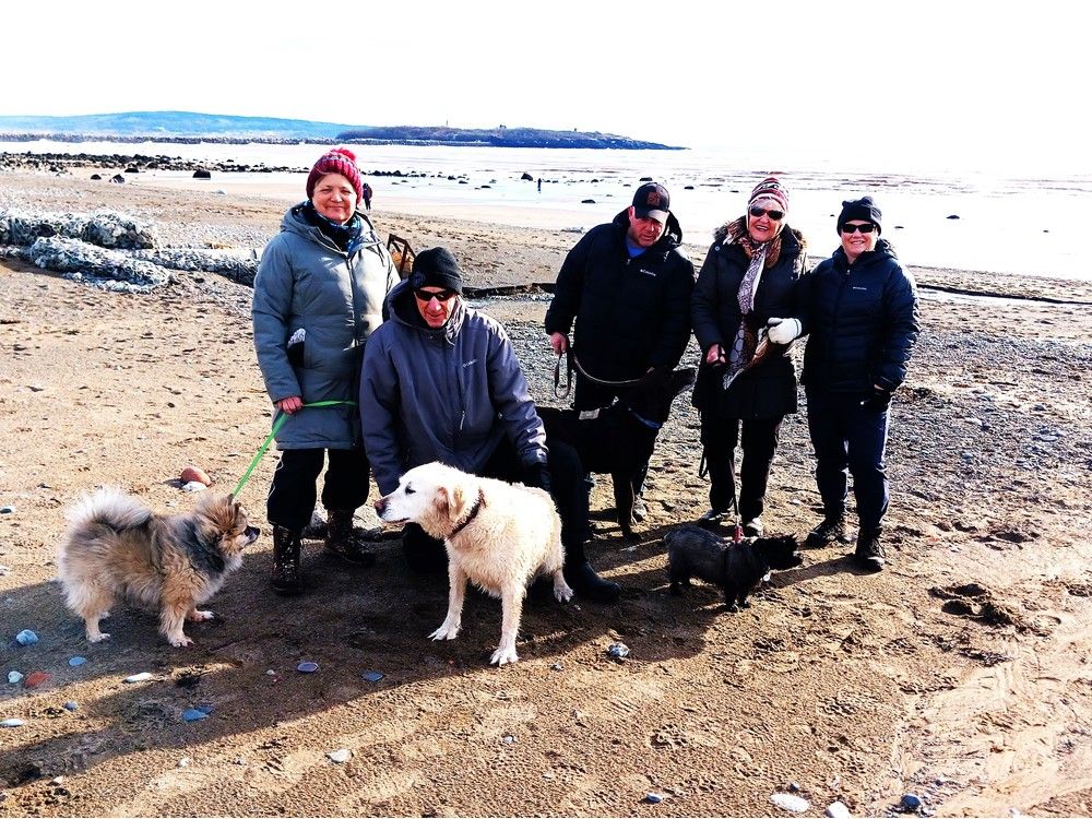 David Goss: A summer-like day in January | Telegraph-Journal