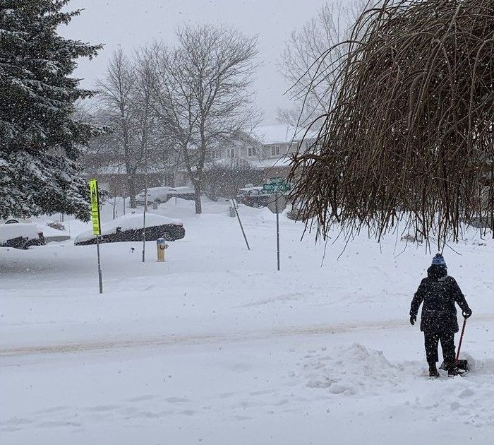 Winter returns to Kingston, Snowfall Warning in effect | The Kingston ...