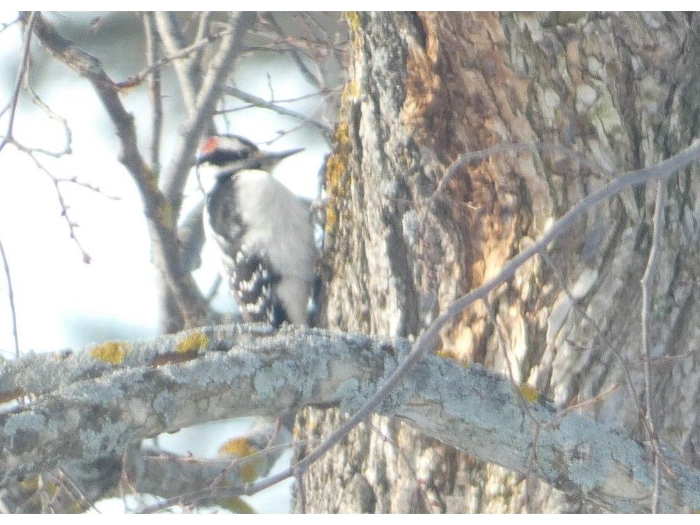 This week's collection of Sightings | Telegraph-Journal