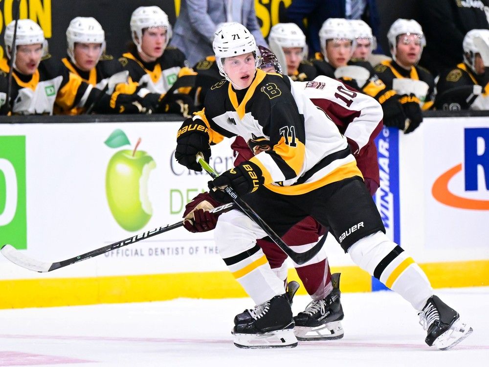 Bulldogs prospect David Buchman shining with GOHL's Brantford Titans ...