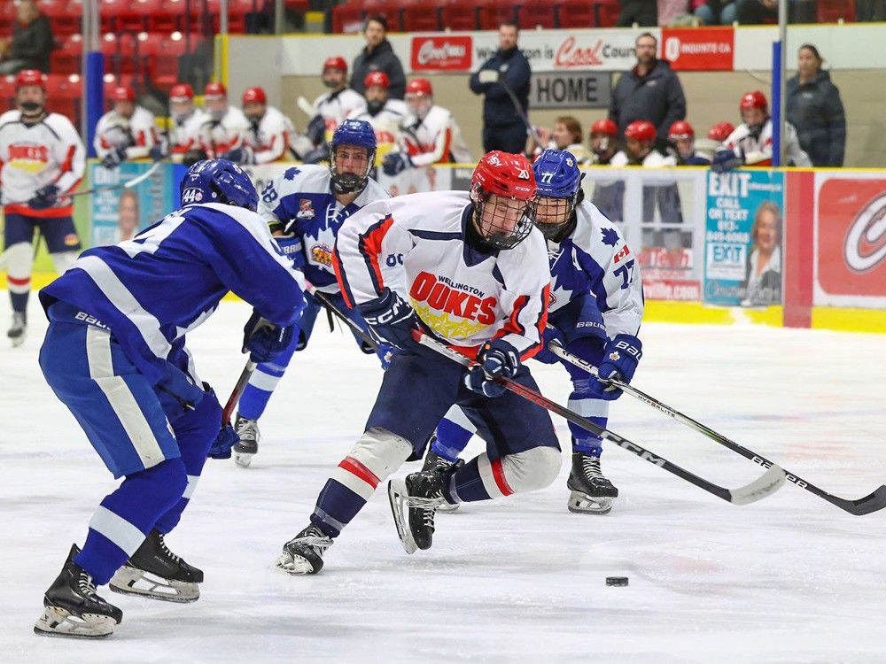 Golden Hawks beat Panthers, Huskies to clinch playoff spot | Belleville ...