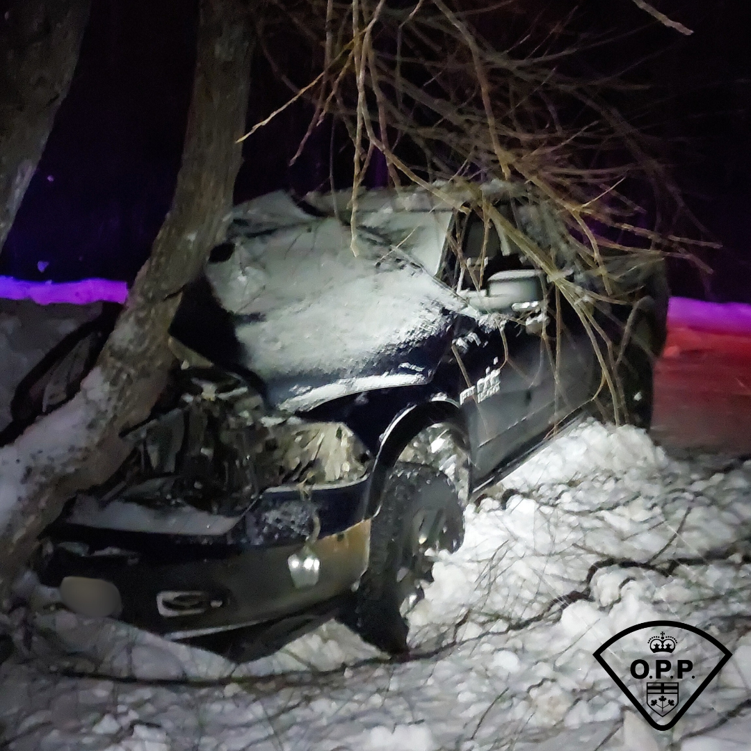 Chisholm man charged following collision between truck and tree | North ...